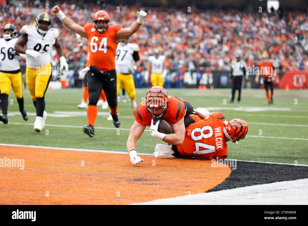 Cincinnati, Ohio, USA. 26th Nov, 2023. Cincinnati Bengals tight end ...