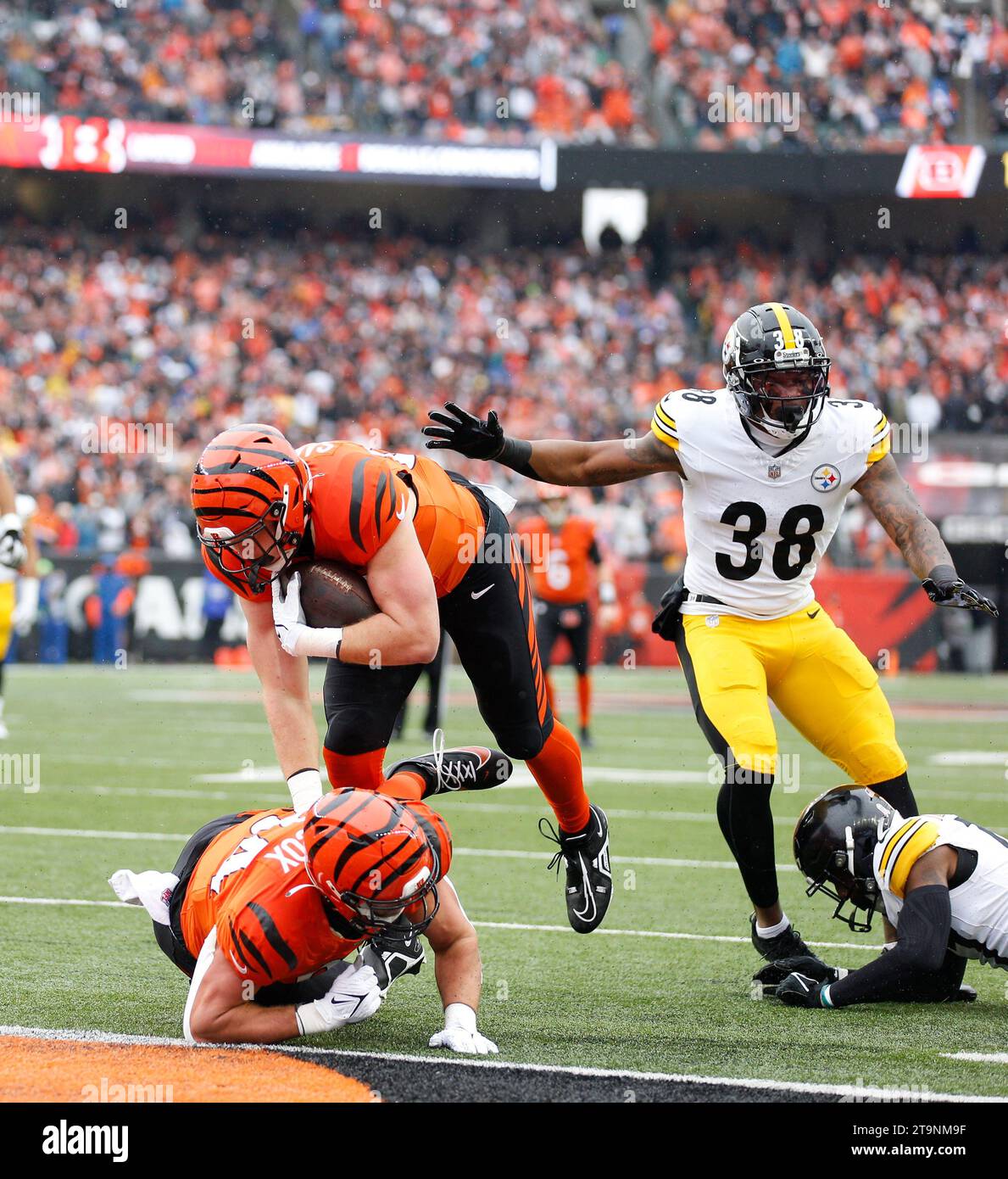 Cincinnati, Ohio, USA. 26th Nov, 2023. Cincinnati Bengals tight end ...