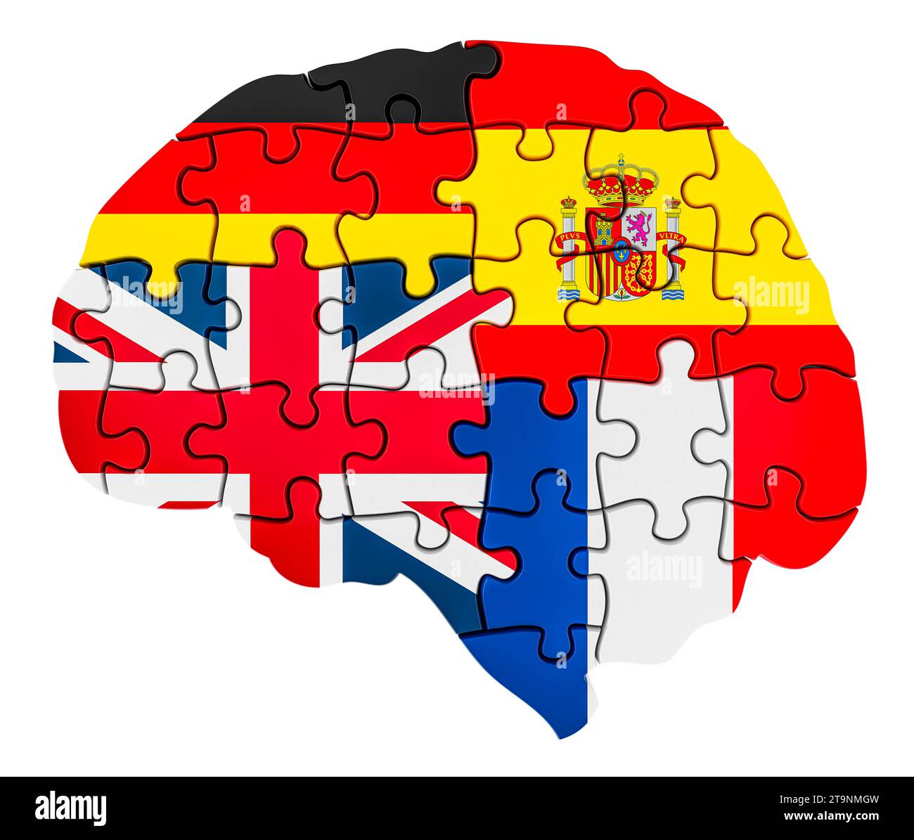 Brain from puzzles with different flags, 3D rendering isolated on white ...