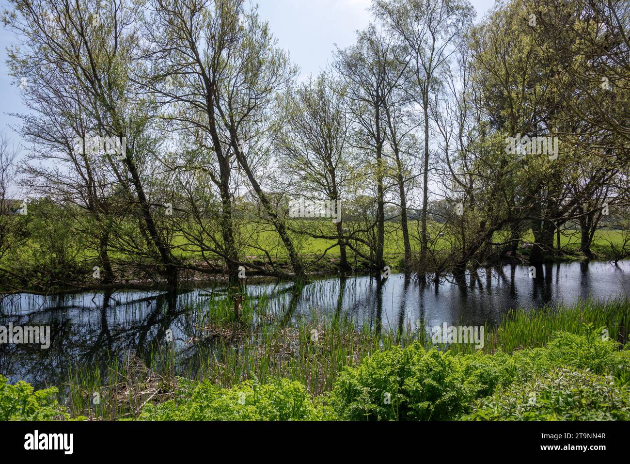 Salterns lock hi-res stock photography and images - Alamy