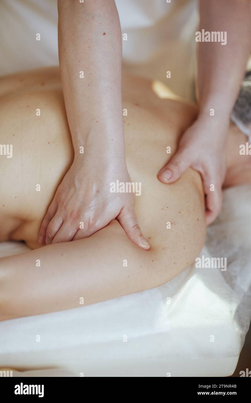 Healthcare time. Closeup on massage therapist in spa salon massaging clients back Stock Photo ...
