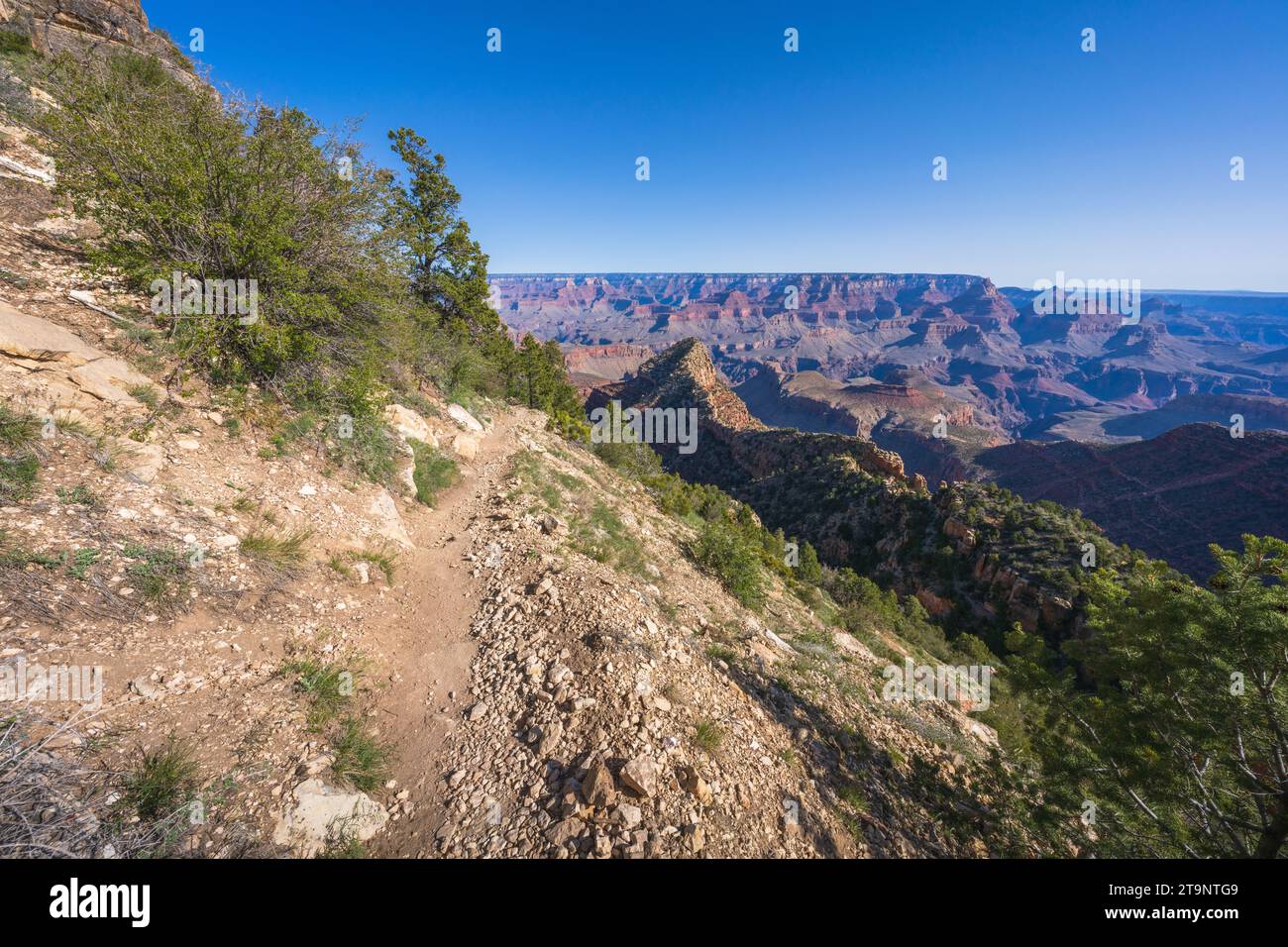 hiking the grandview trail in the grand canyon national park in arizona ...