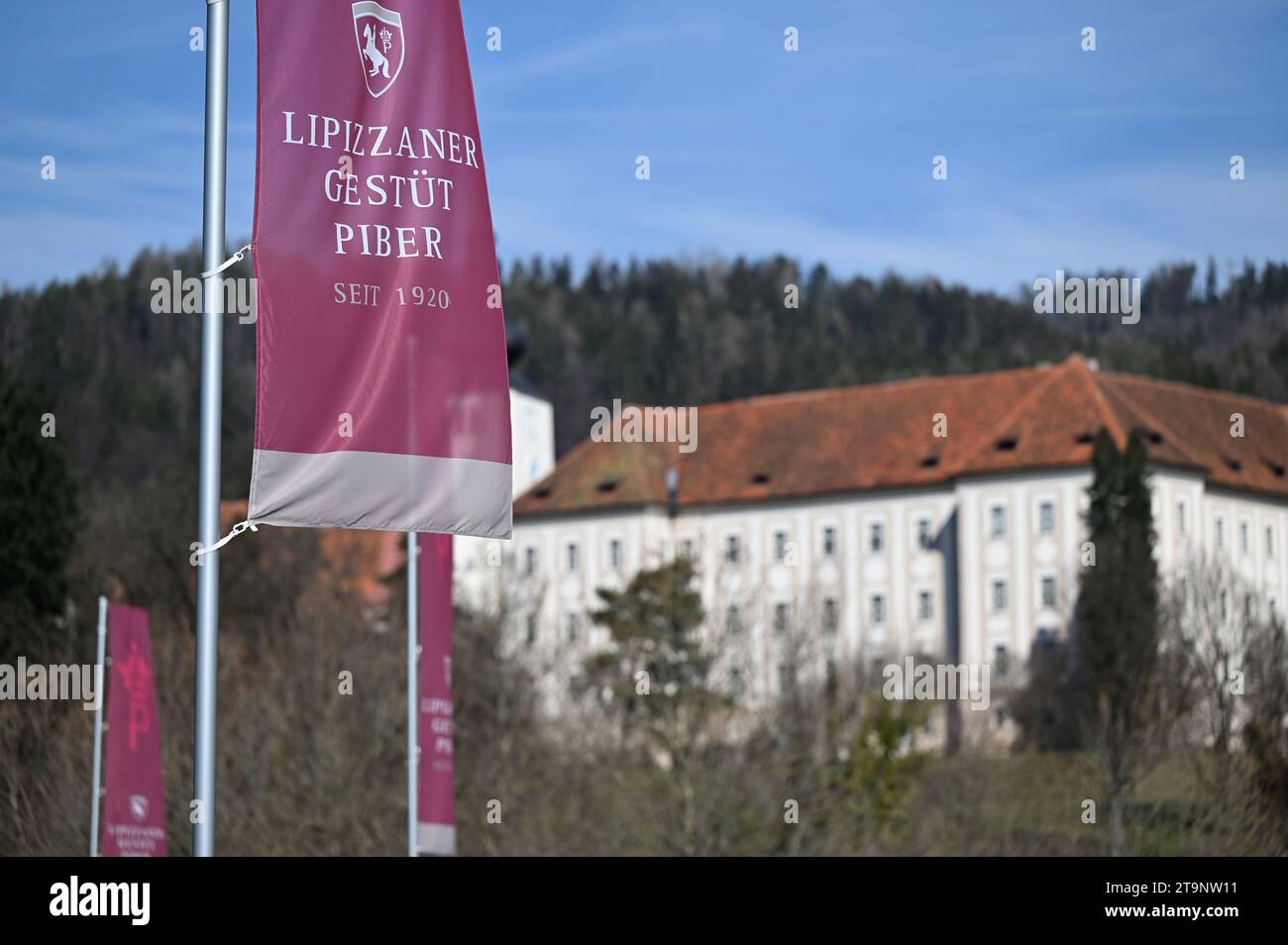 Lipizzaner stud farm in Piber in Styria - Lipizzaners have been bred ...