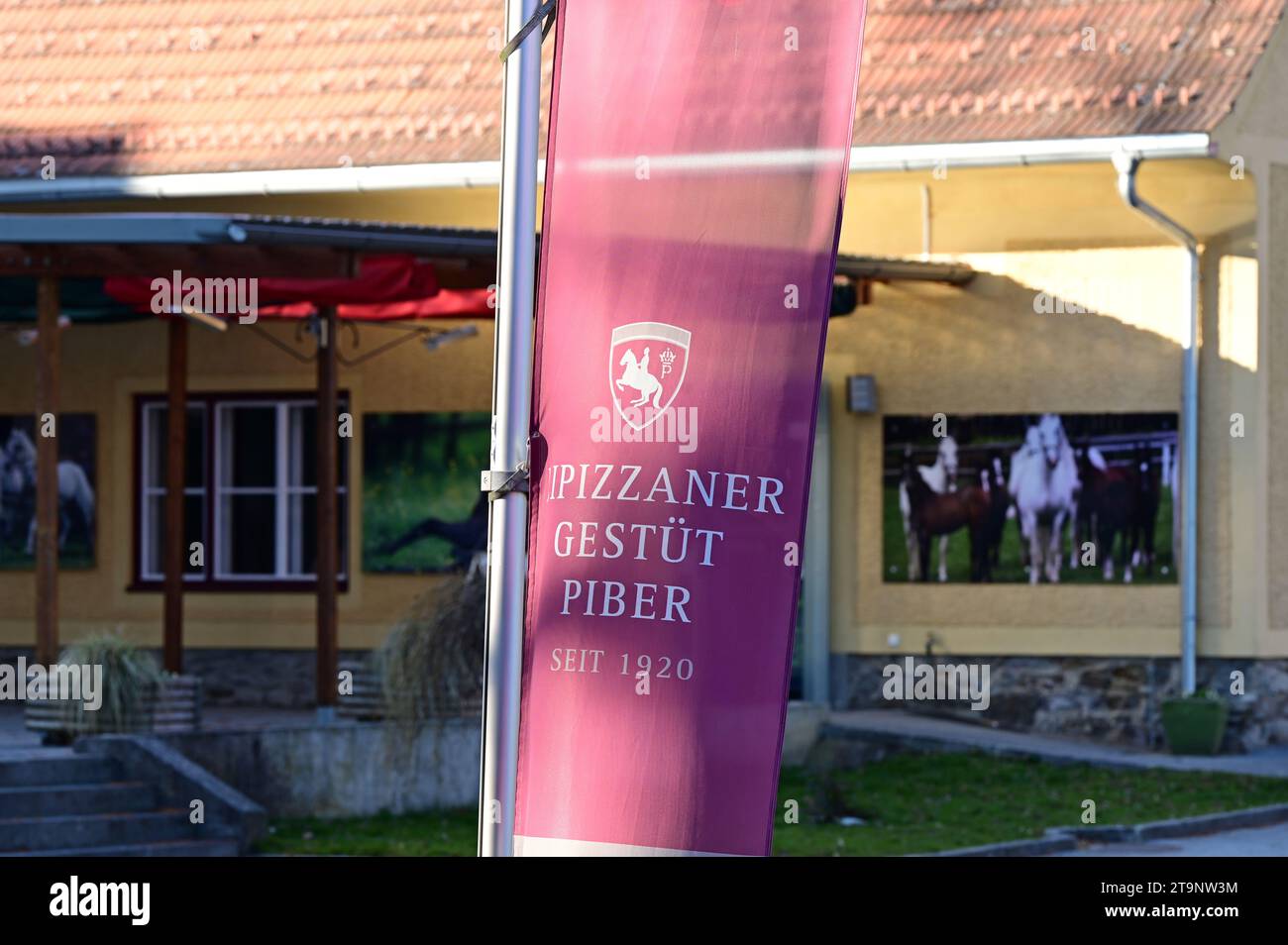 Lipizzaner stud farm in Piber in Styria - Lipizzaners have been bred ...