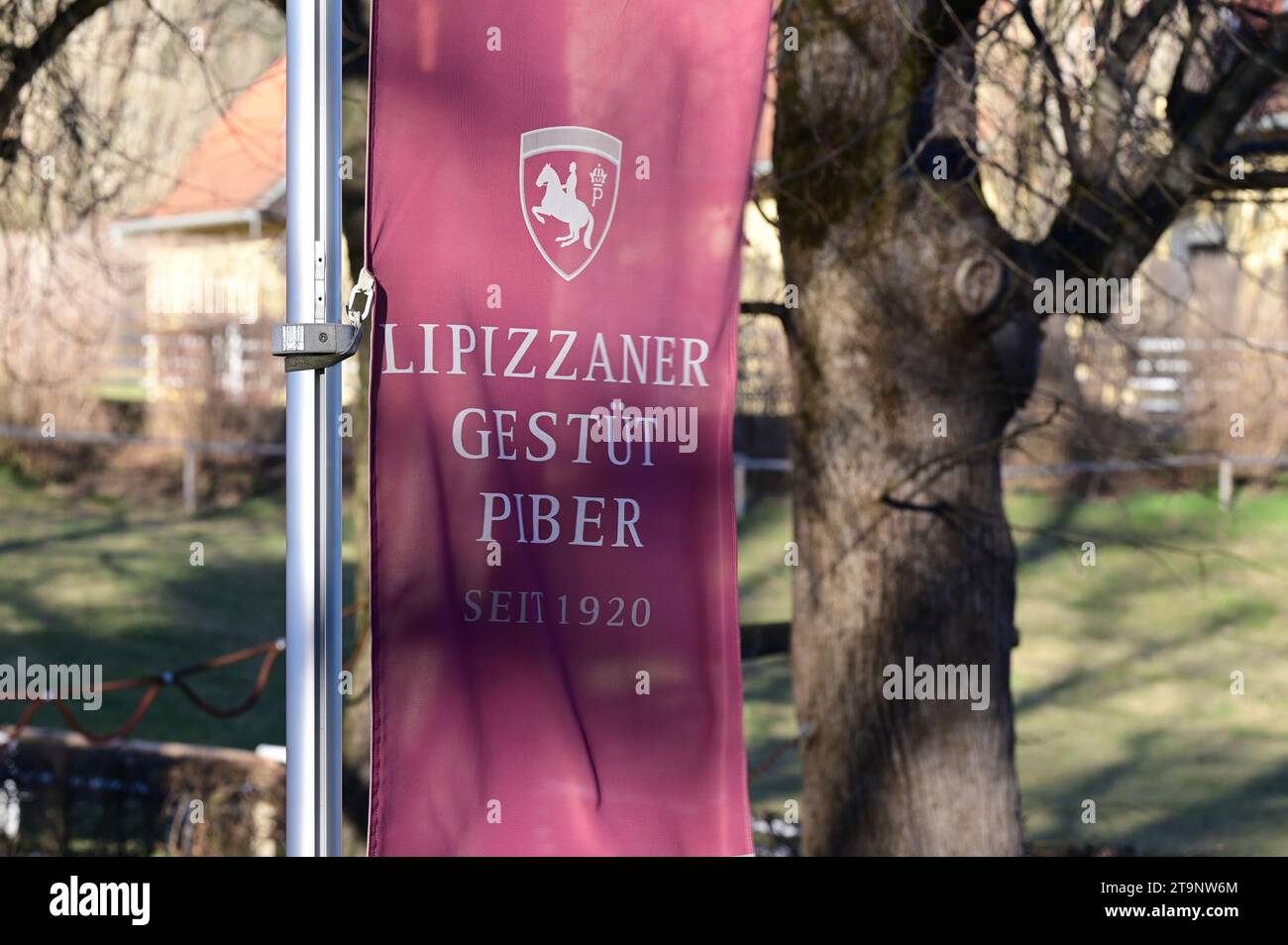 Lipizzaner stud farm in Piber in Styria - Lipizzaners have been bred ...