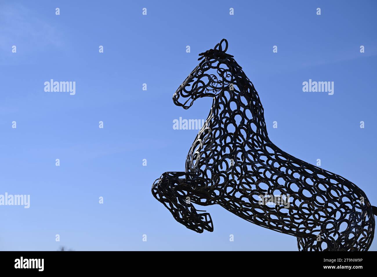 Lipizzaner stud farm in Piber in Styria - Lipizzaners have been bred ...