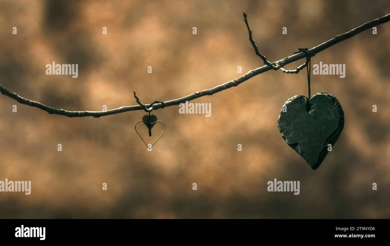 A black wooden heart and a smaller metal heart hanging on a twig, dark ...