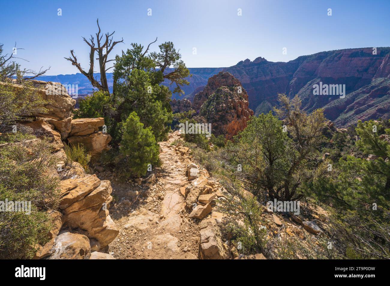 hiking the grandview trail in the grand canyon national park in arizona ...