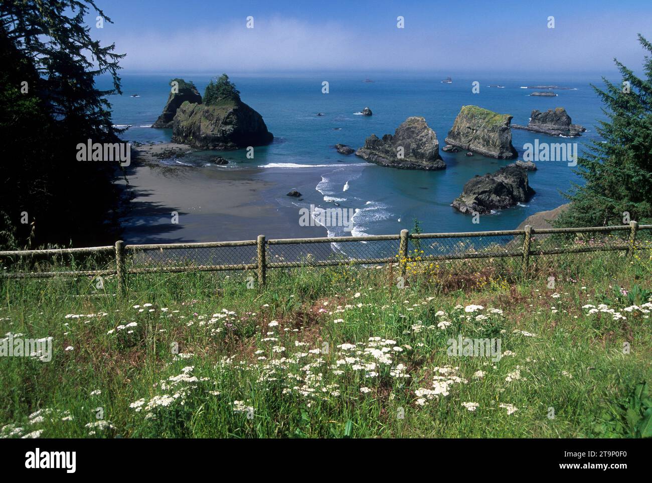 View from Arch Rock Viewpoint, Samuel Boardman State Park, Oregon Stock ...