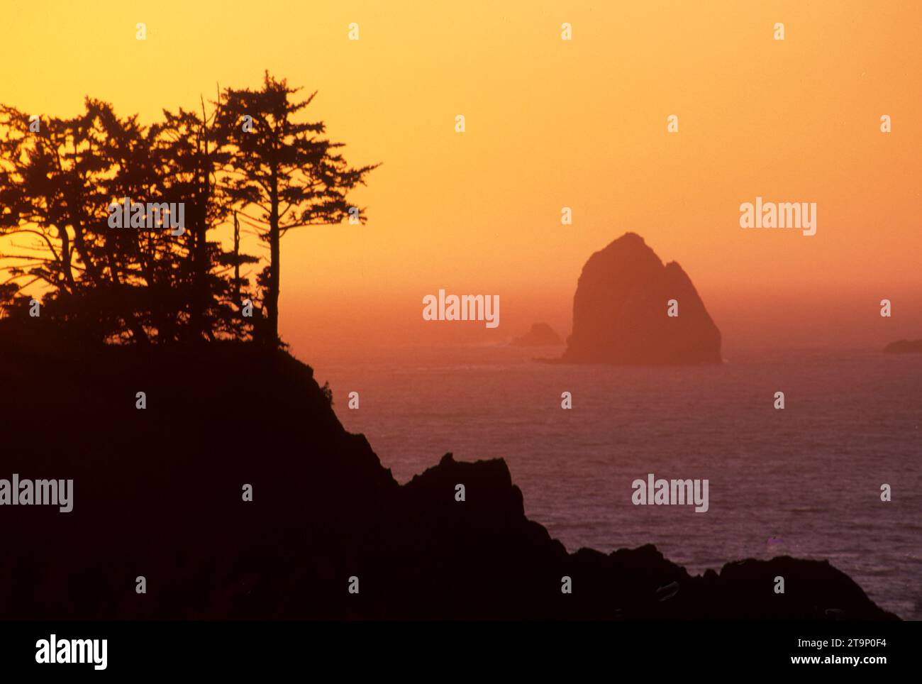 Viewpoint yellow rock hi-res stock photography and images - Alamy