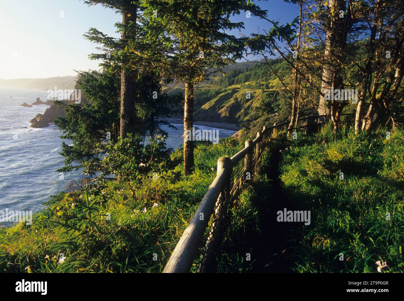 Arch Rock Viewpoint, Samuel Boardman State Park, Oregon Stock Photo - Alamy