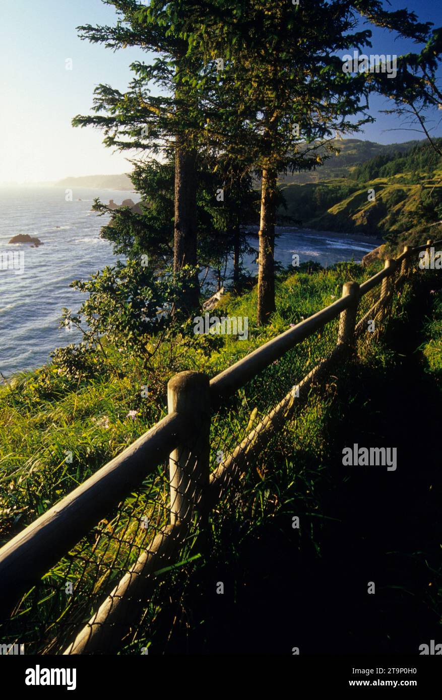 Arch Rock Viewpoint, Samuel Boardman State Park, Oregon Stock Photo - Alamy
