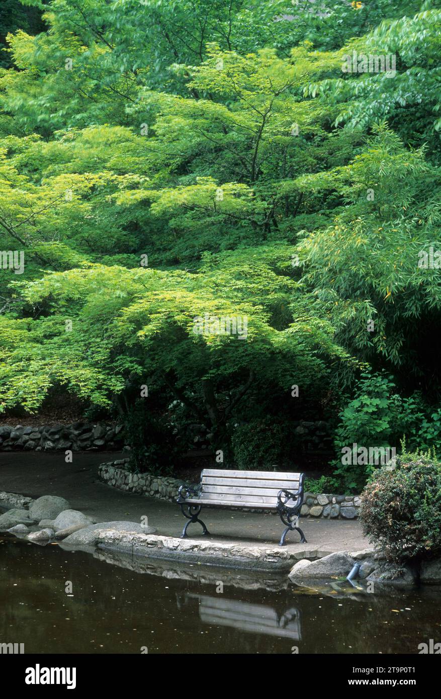 Lower Duck Pond bench, Lithia Park, Ashland, Oregon Stock Photo - Alamy