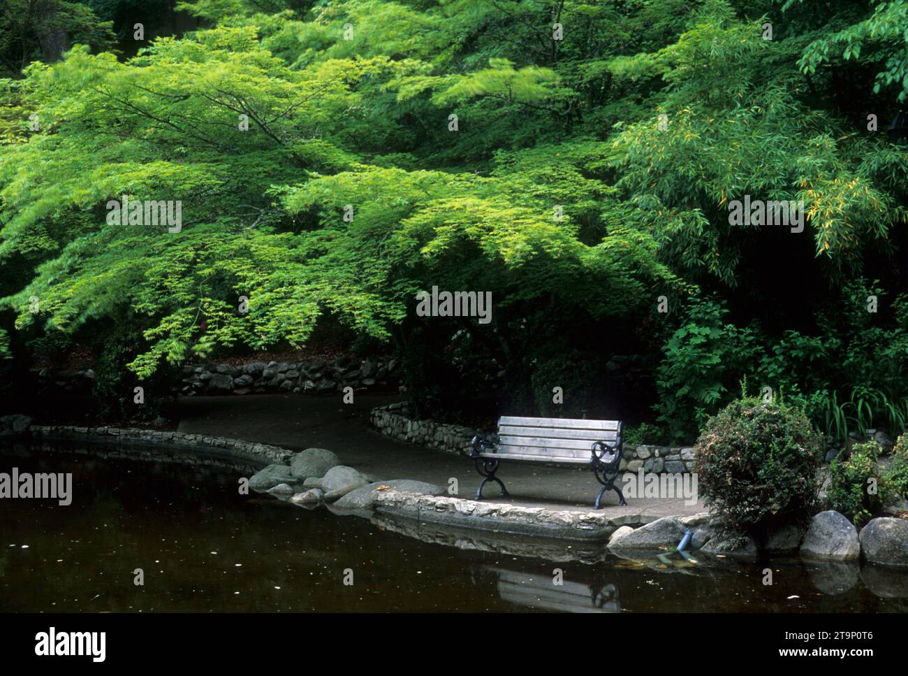 Lower Duck Pond bench, Lithia Park, Ashland, Oregon Stock Photo - Alamy
