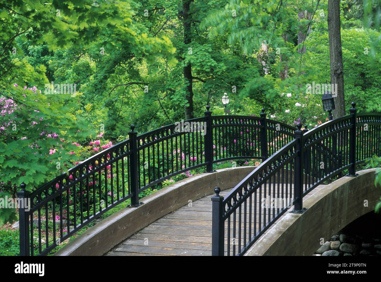 Ashland Creek bridge, Lithia Park, Ashland, Oregon Stock Photo - Alamy