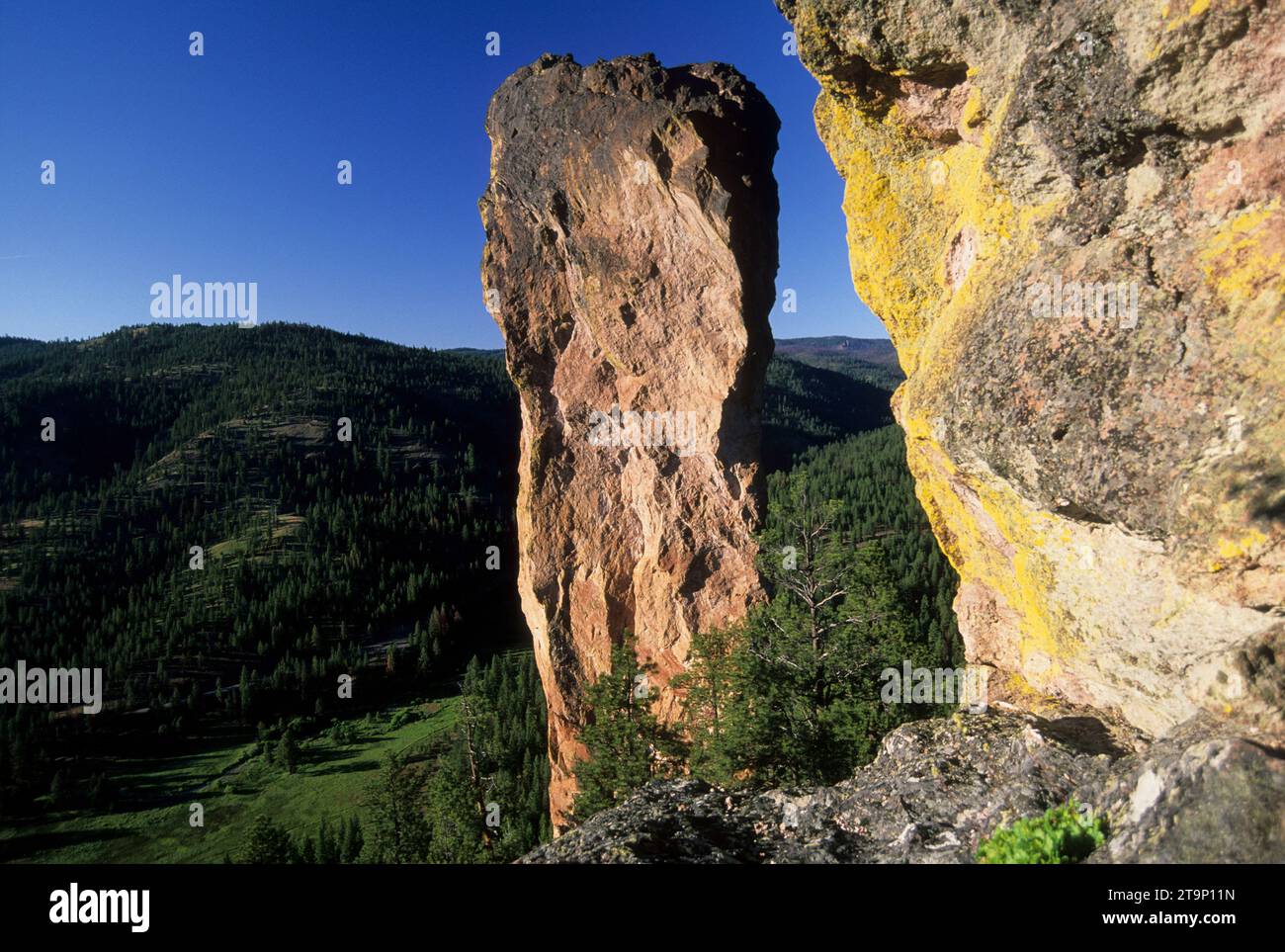Steins Pillar, Ochoco National Forest, Oregon Stock Photo - Alamy