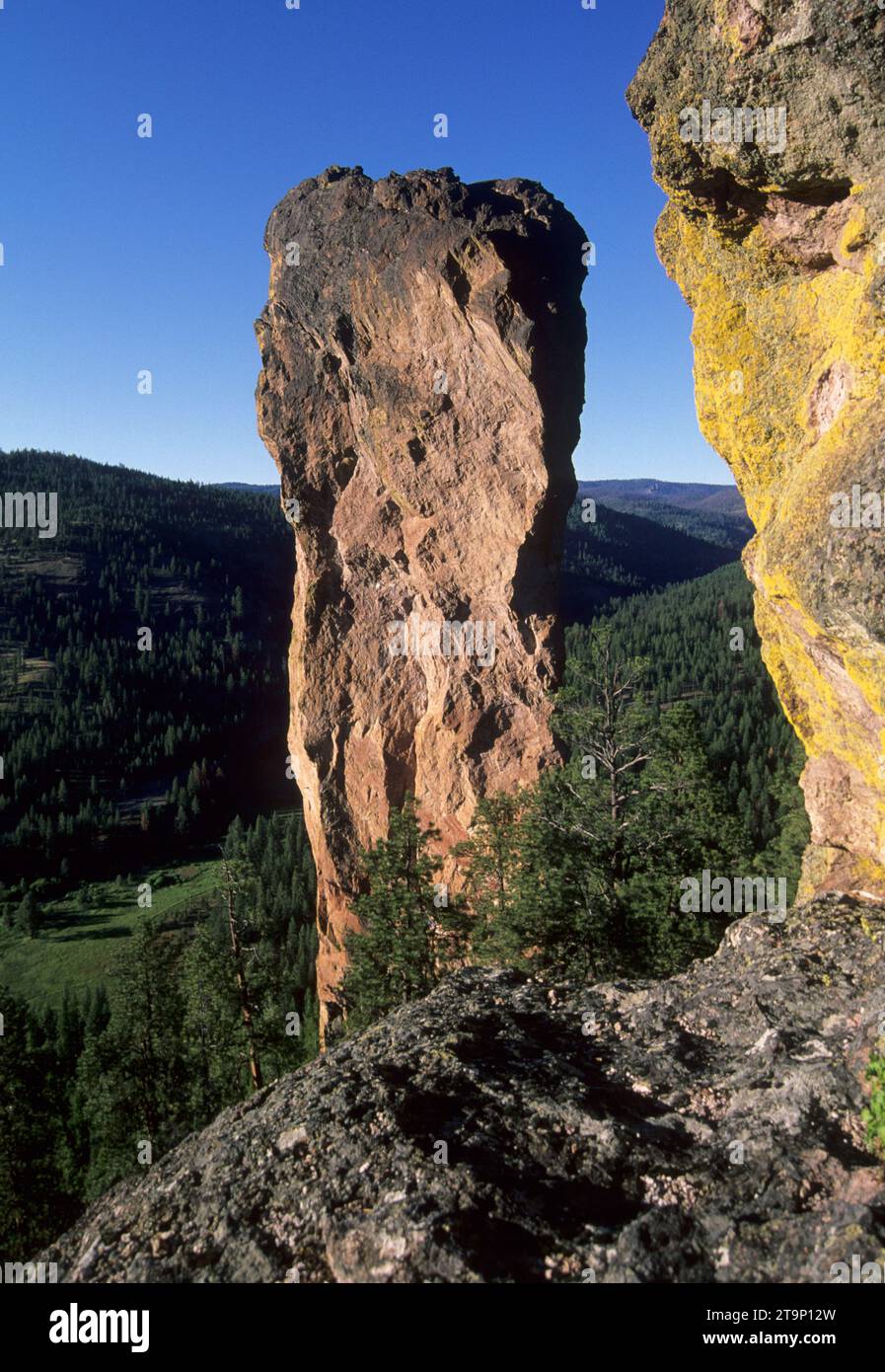 Steins Pillar, Ochoco National Forest, Oregon Stock Photo - Alamy