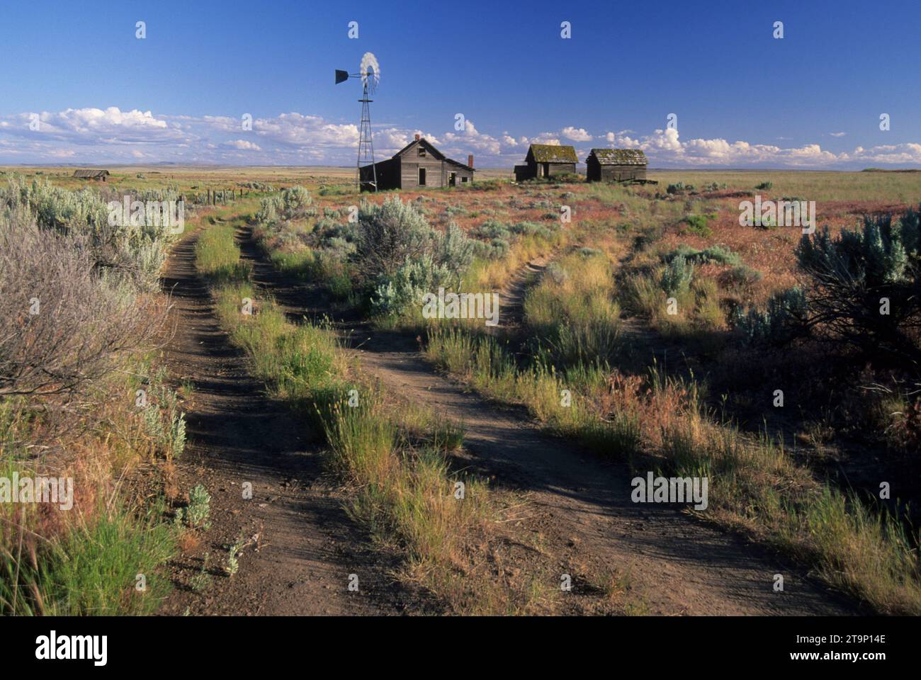 Old homestead, Journey through Time National Scenic Byway, Sherman ...