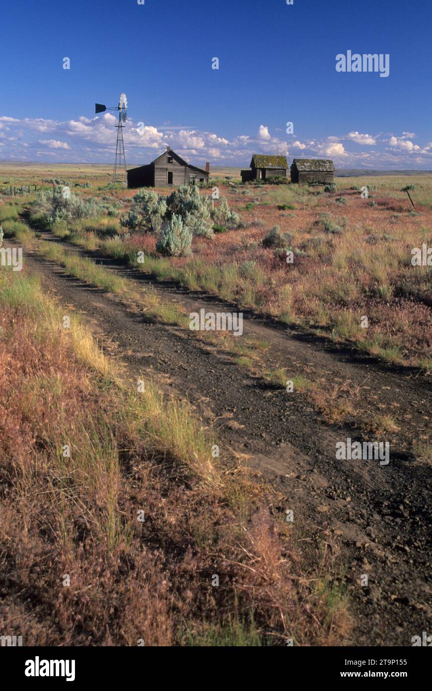Old homestead, Journey through Time National Scenic Byway, Sherman ...