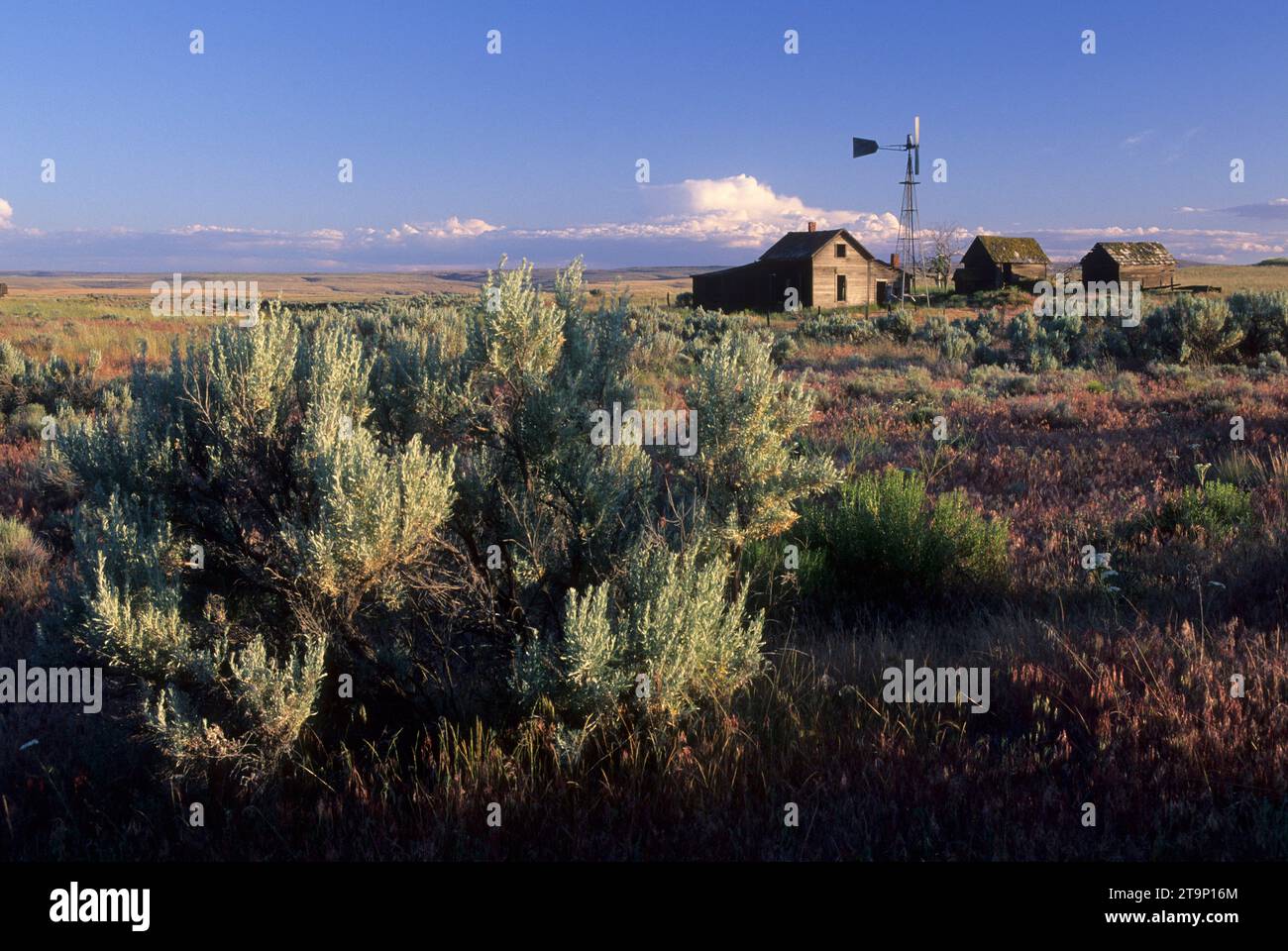Old homestead, Journey through Time National Scenic Byway, Sherman ...