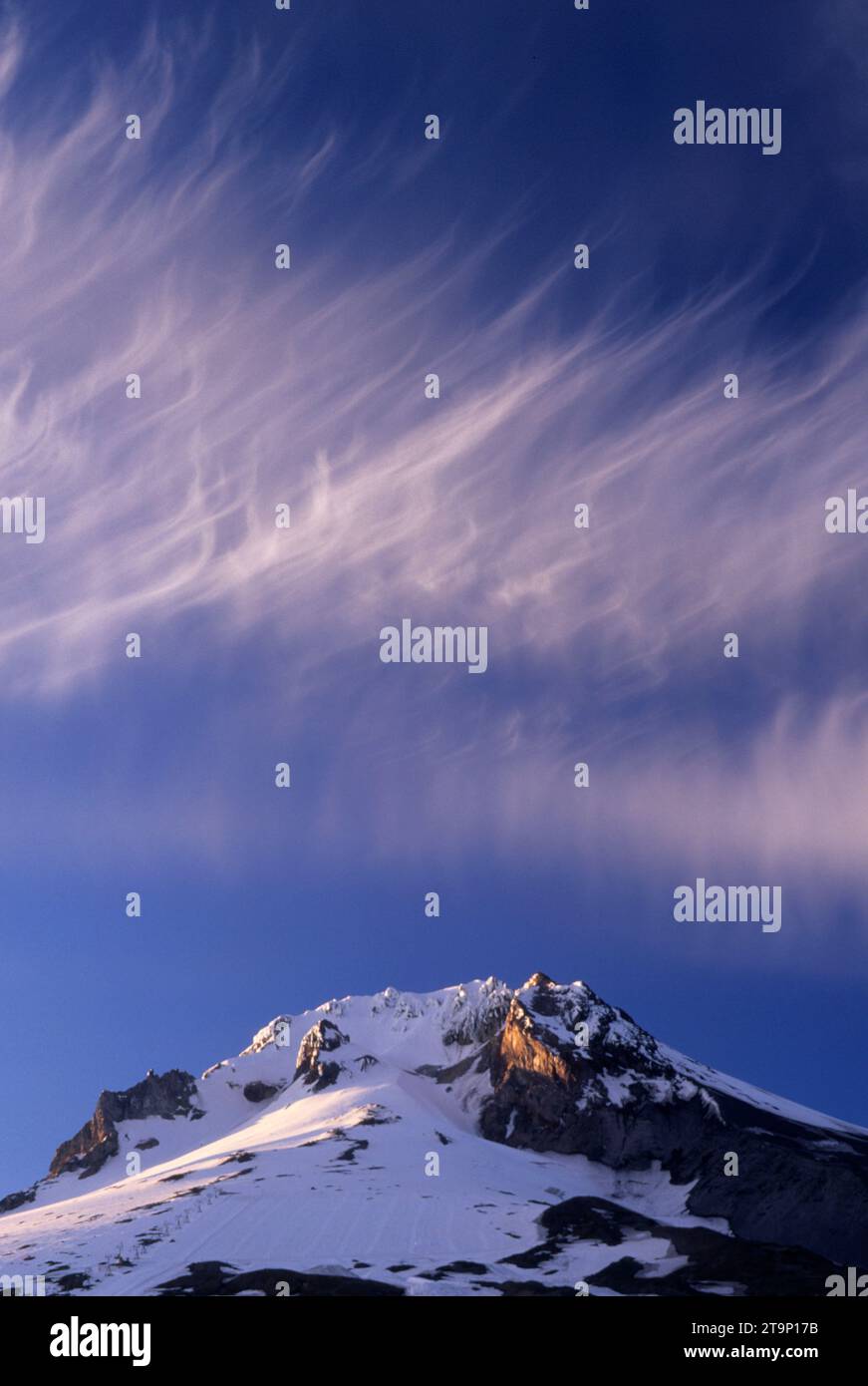 Mt Hood at Timberline, Mt Hood National Forest, Oregon Stock Photo - Alamy