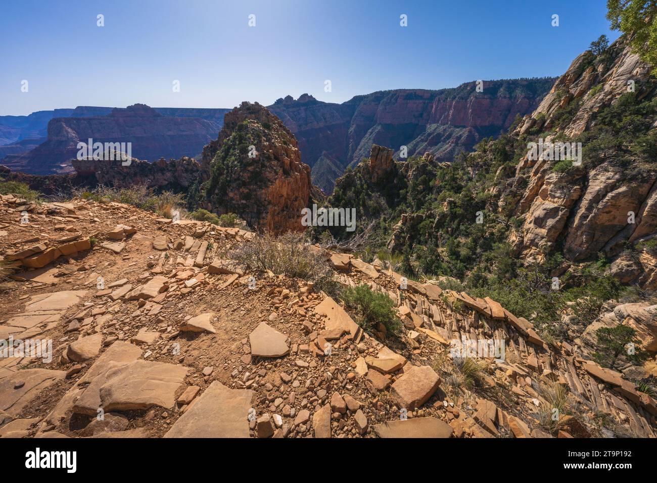 hiking the grandview trail in the grand canyon national park in arizona ...