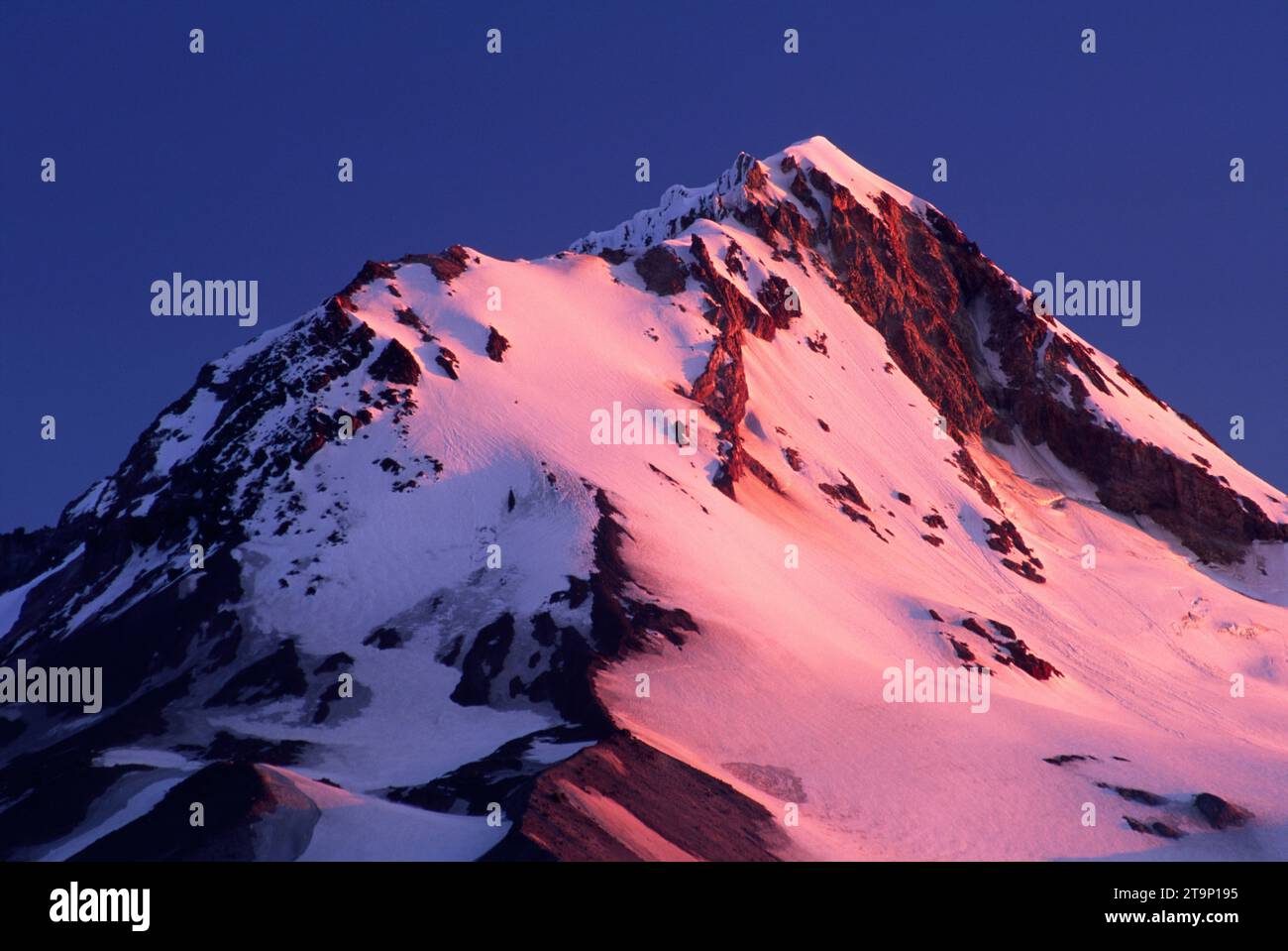 Mt Hood from Bennett Pass, Mt Hood National Forest, Oregon Stock Photo ...