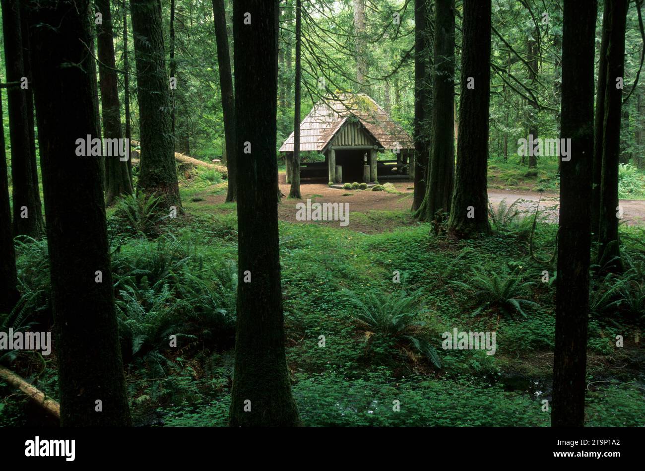 Picnic shelter at Tollgate Campground, Mt Hood National Forest, Oregon ...
