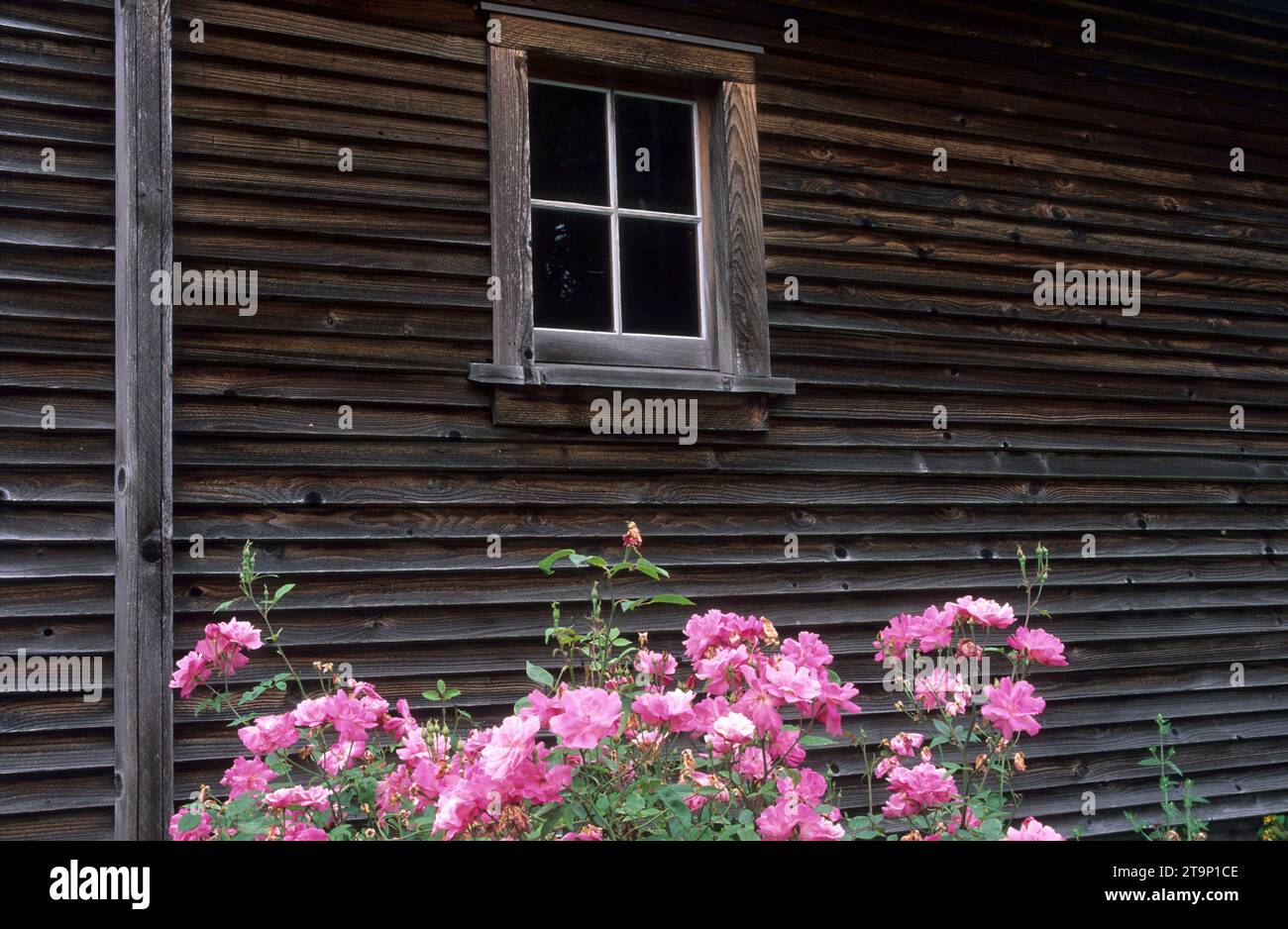 Foster Store window, Philip Foster Farm Historic Site, Eagle Creek ...
