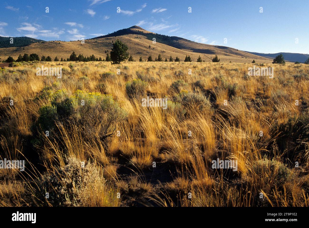 Rangeland along pine mountain rd hi-res stock photography and images ...