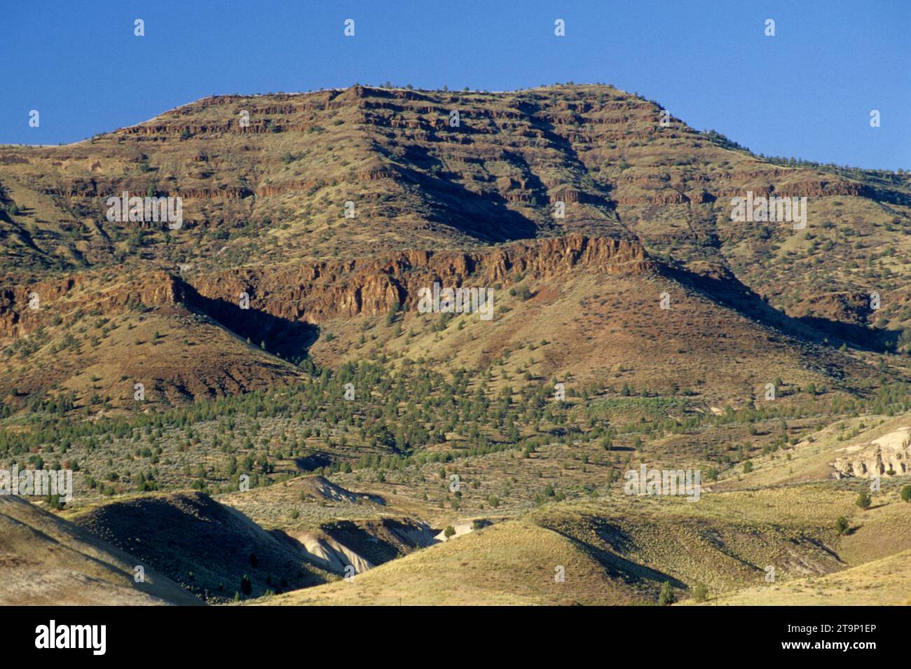 View to Sutton Mountain, John Day Fossil Beds National Monument-Painted ...