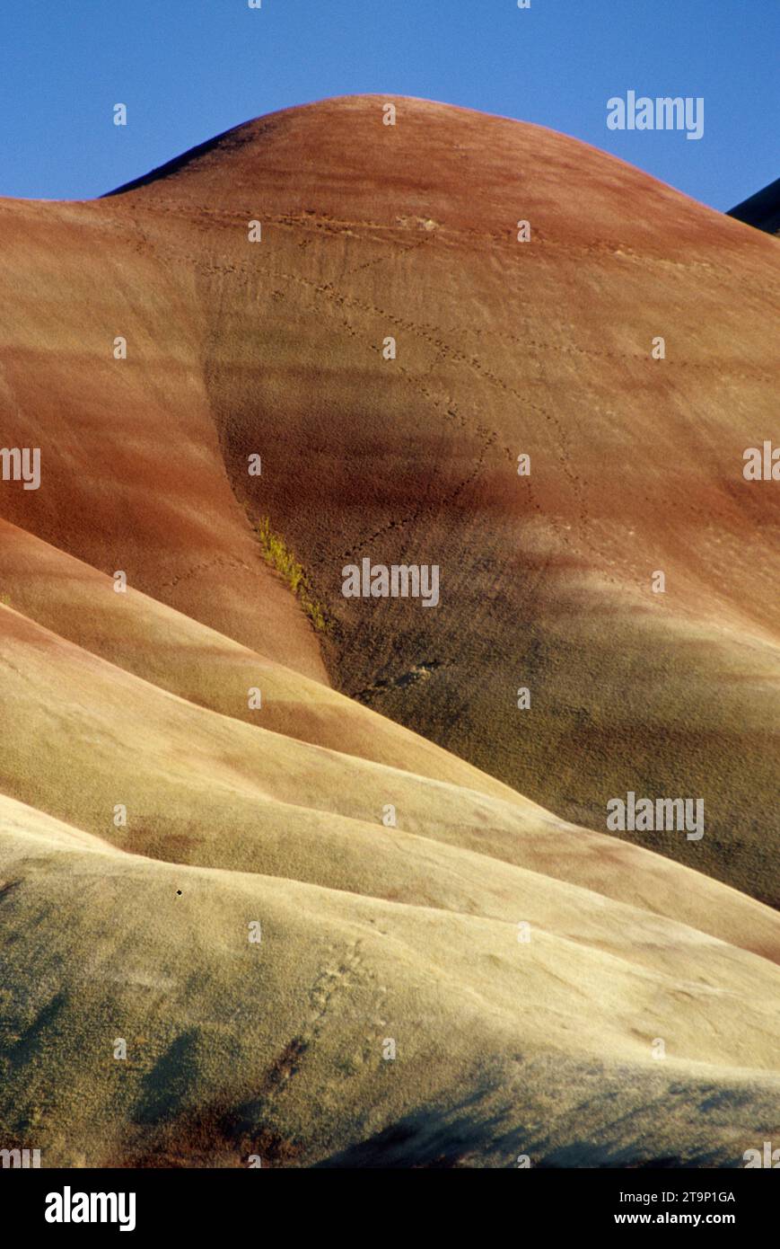 Painted Hills, John Day Fossil Beds National Monument-Painted Hills ...