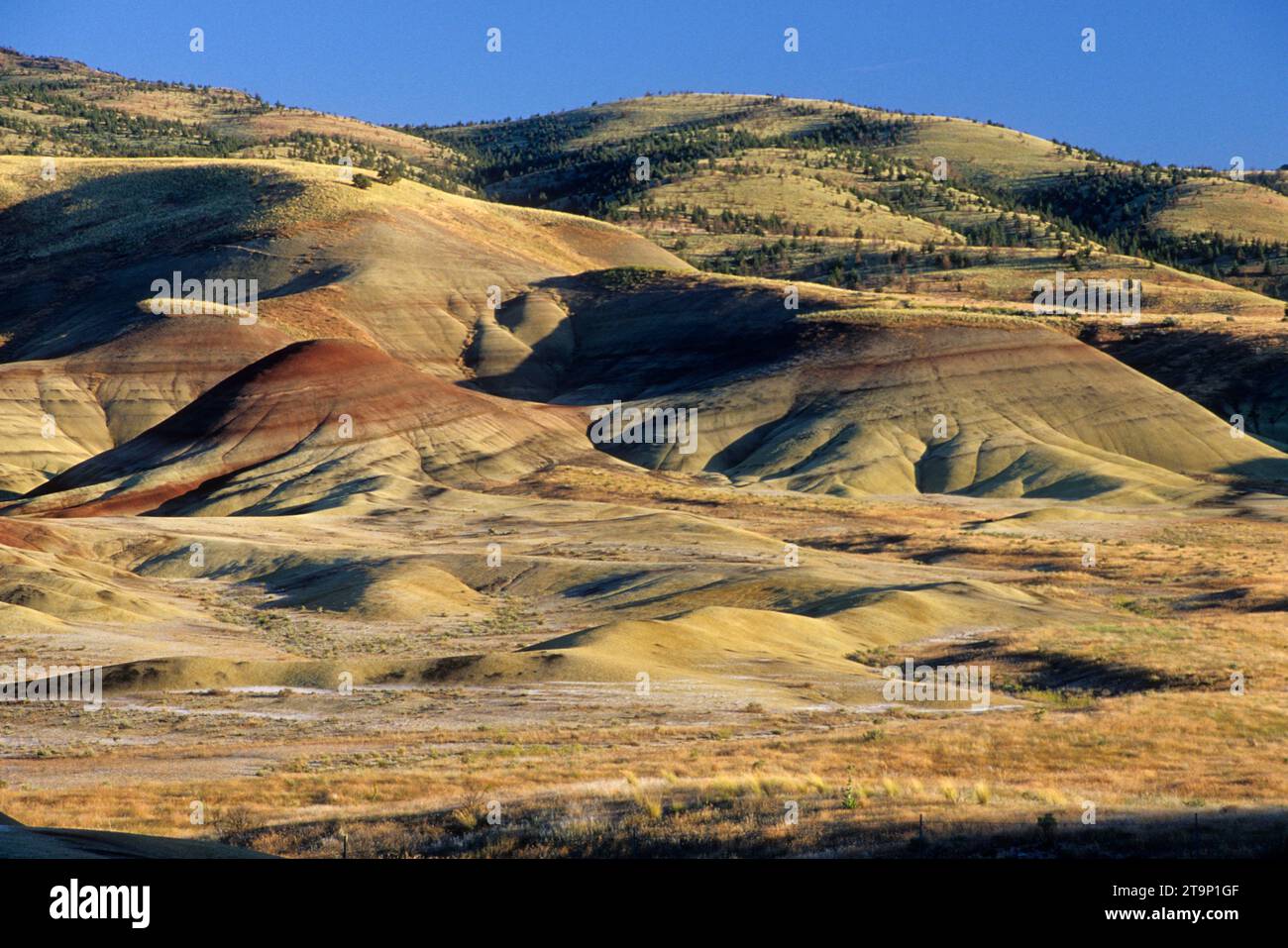 Painted Hills Trail view, John Day Fossil Beds National Monument ...