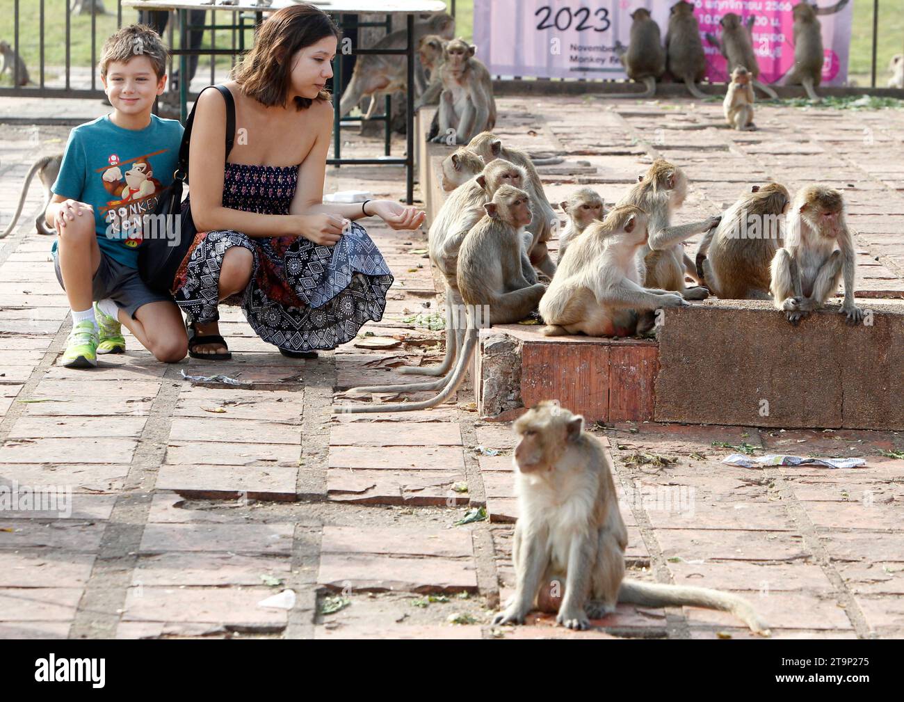 Annual monkey festival hi-res stock photography and images - Alamy