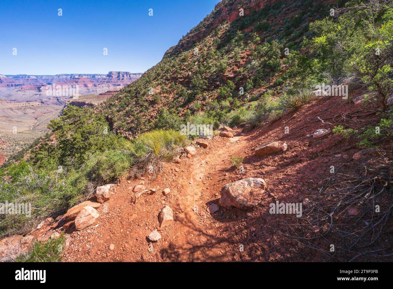 hiking the grandview trail in the grand canyon national park in arizona ...