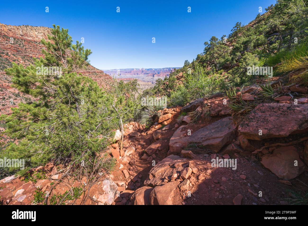 hiking the grandview trail in the grand canyon national park in arizona ...