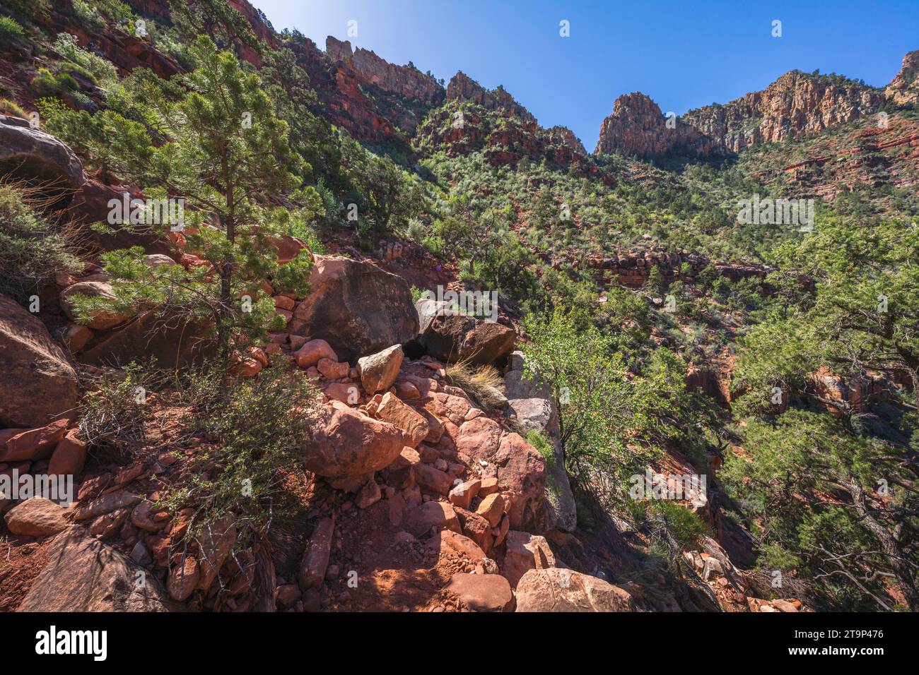 hiking the grandview trail in the grand canyon national park in arizona ...