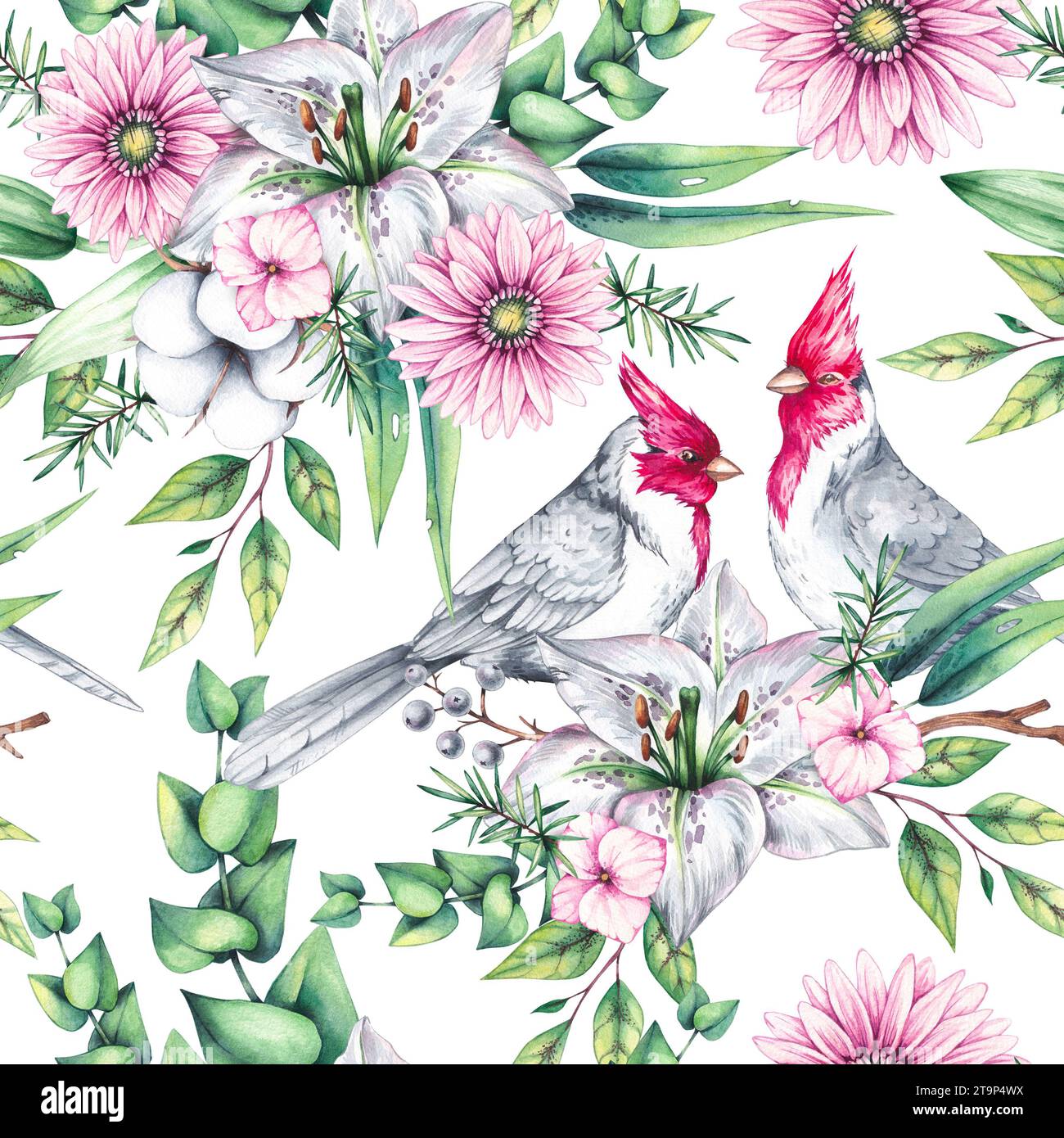 Cardinal nest hi-res stock photography and images - Alamy