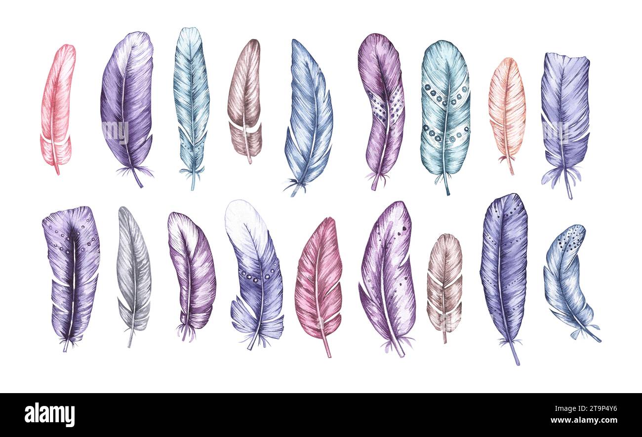 Watercolor set of bird feathers isolated on white. Hand drawn bird ...