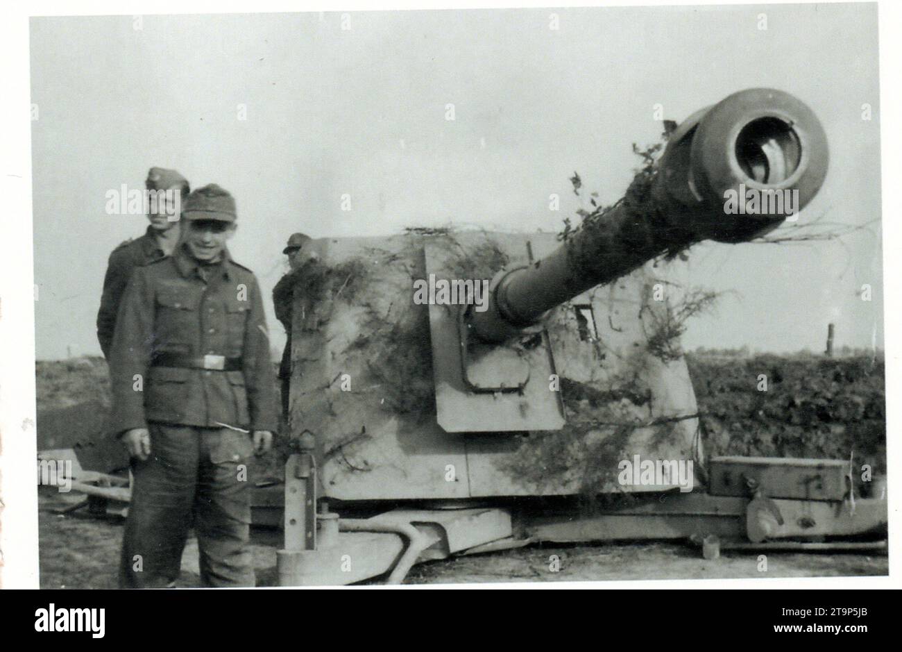 World War Two B&W photo German Heavy Anti Tank Gun on the Russian Front ...