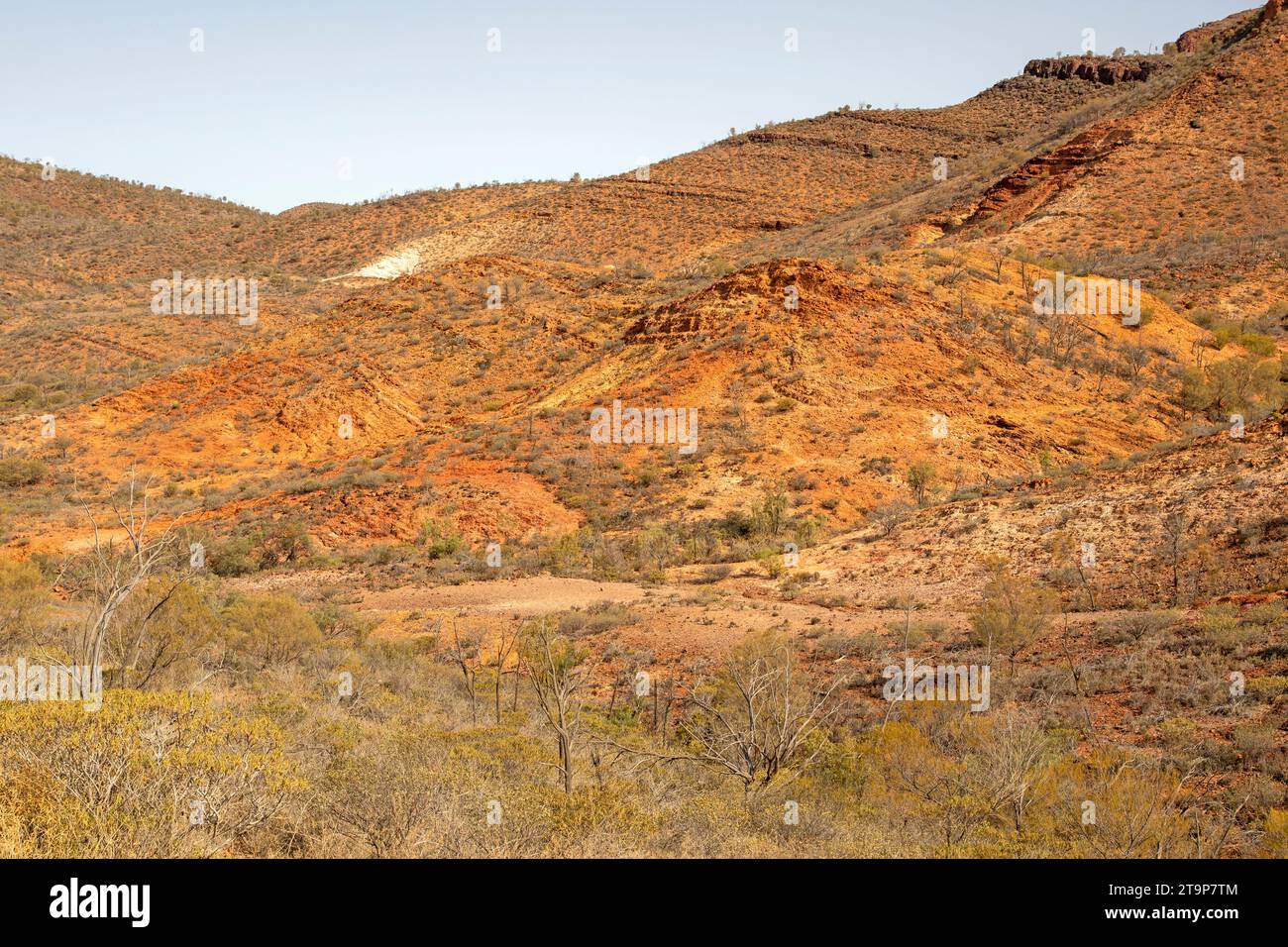 Desert colours at Arkaroola Wilderness Sanctuary Stock Photo - Alamy