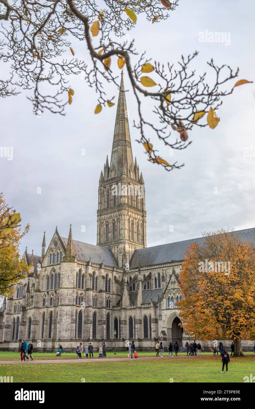 Salisbury Cathedral grounds during autumn, Salisbury, Wiltshire ...