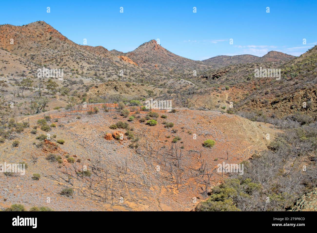 Mawson valley hi-res stock photography and images - Alamy