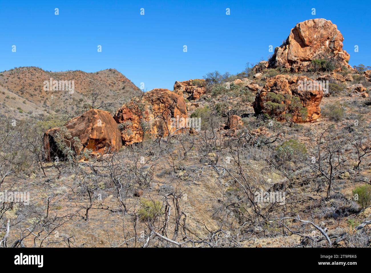 Mawson valley hi-res stock photography and images - Alamy
