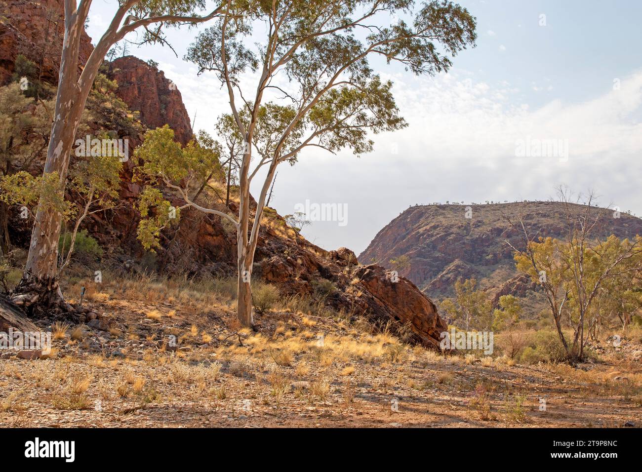 Stubb waterhole hi-res stock photography and images - Alamy