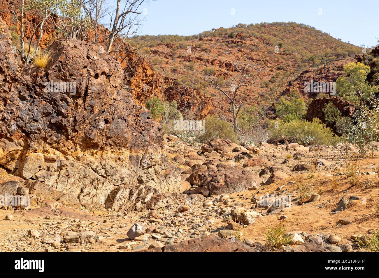 Stubb waterhole hi-res stock photography and images - Alamy
