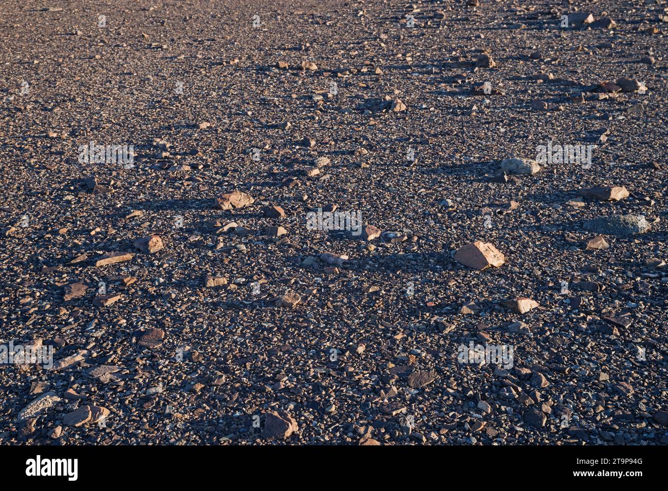 desert pavement of pebbles and cobbles in the Mojave Desert Stock Photo ...