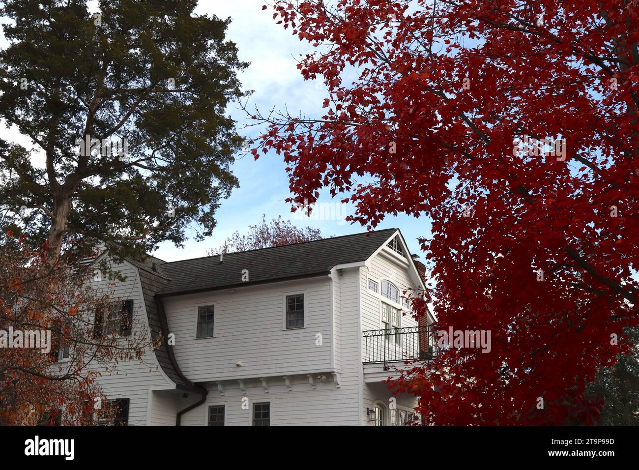 Fall Foliage Against White Exterior of Beautifully Designed House Stock ...