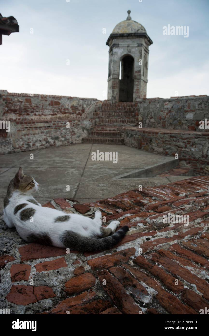 Sentry boxes (garitas) offered protection to soldiers while they shot ...
