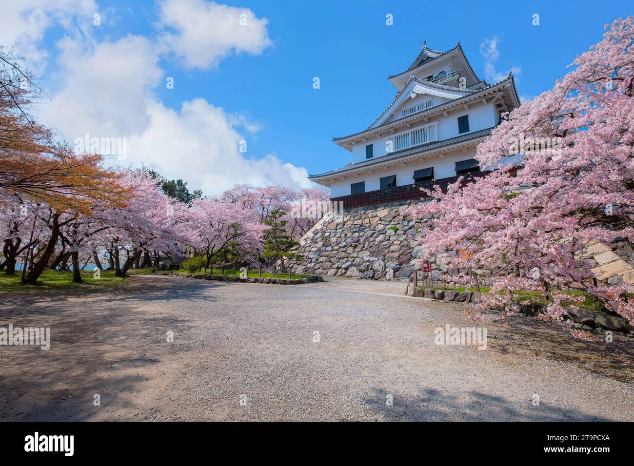 Shiga, Japan - April 3 2023: Nagahama Castle built by feudal lord ...